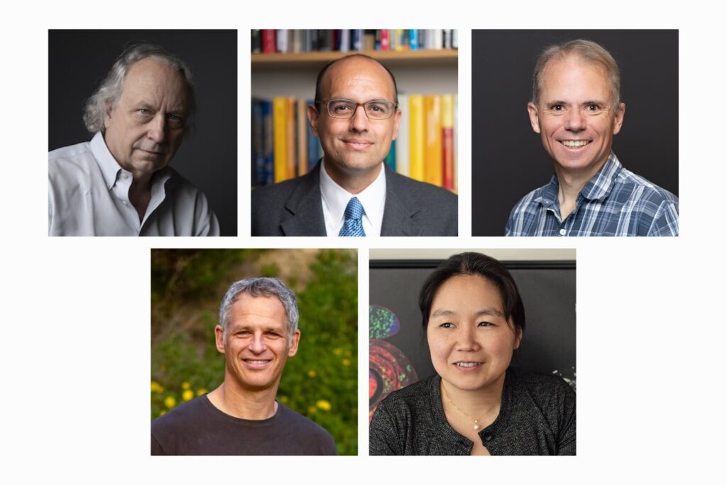 Five MIT faculty elected to the National Academy of Sciences for 2025 ...